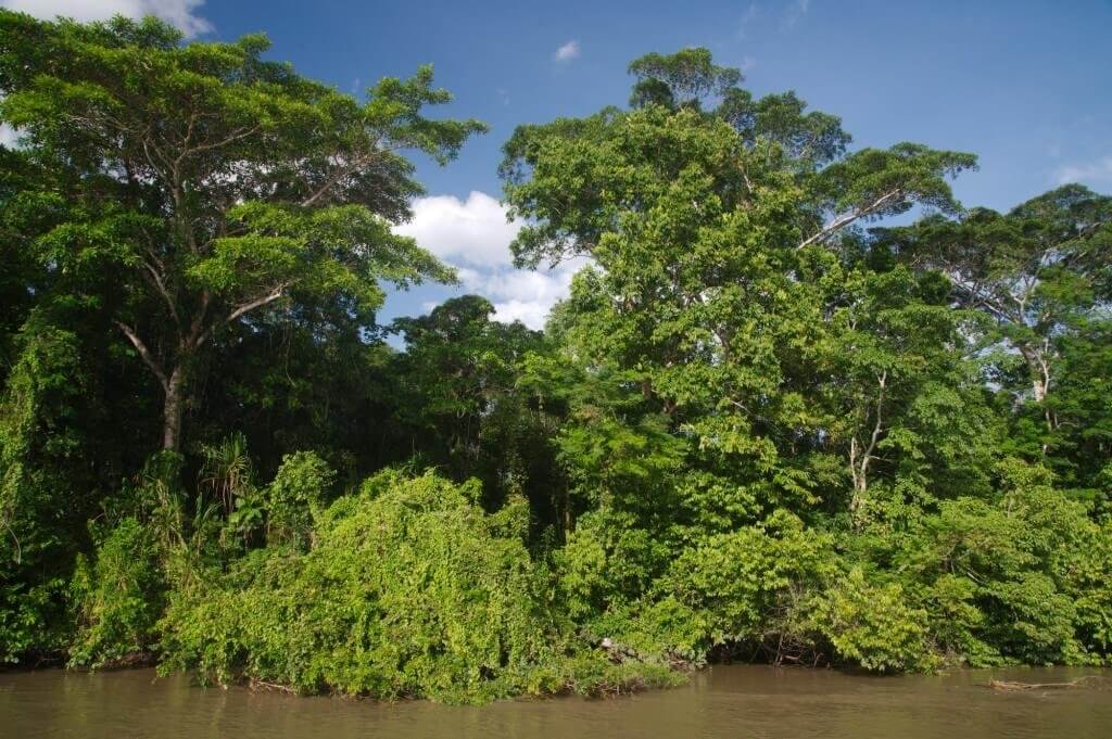 Les Différents Climats dans le Monde : à Quel Type de Climat S’attendre ...