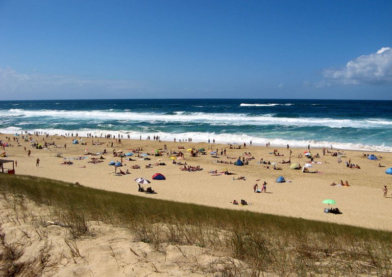 À la découverte du village de Messanges dans les Landes | Où et Quand