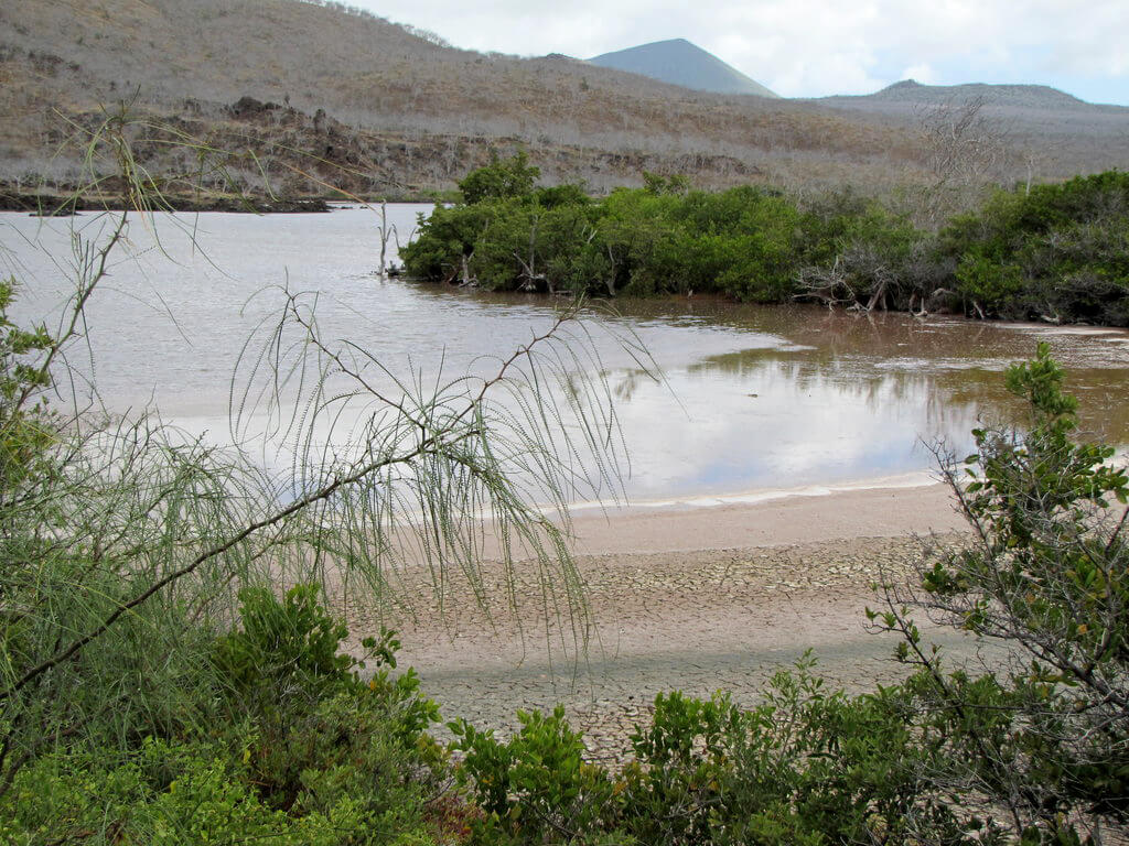 Météo à L'Île Floreana en Avril 2024 : Température et Climat | Îles ...